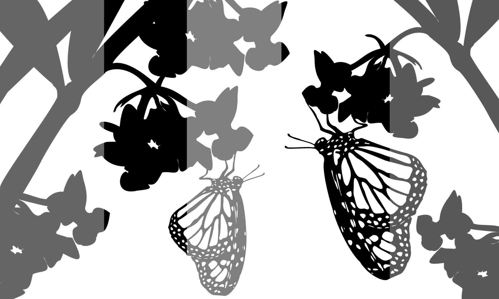 Monarch Butterfly Designs and the Law of Attraction • KBM D3signs