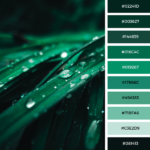 Black and Green Color Palette, In Home Decor • KBM D3signs