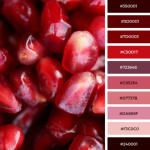 Black and Red Color Palette, Bold Elegance • KBM D3signs