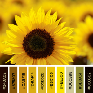 Black and Yellow Color Palette Ideas, Home Decor • KBM D3signs