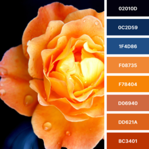 Blue and Orange Color Palette to Transform a Home • KBM D3signs