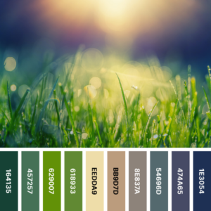 Blue and Green Color Palette Unleashing Its Beauty in Your Home • KBM ...