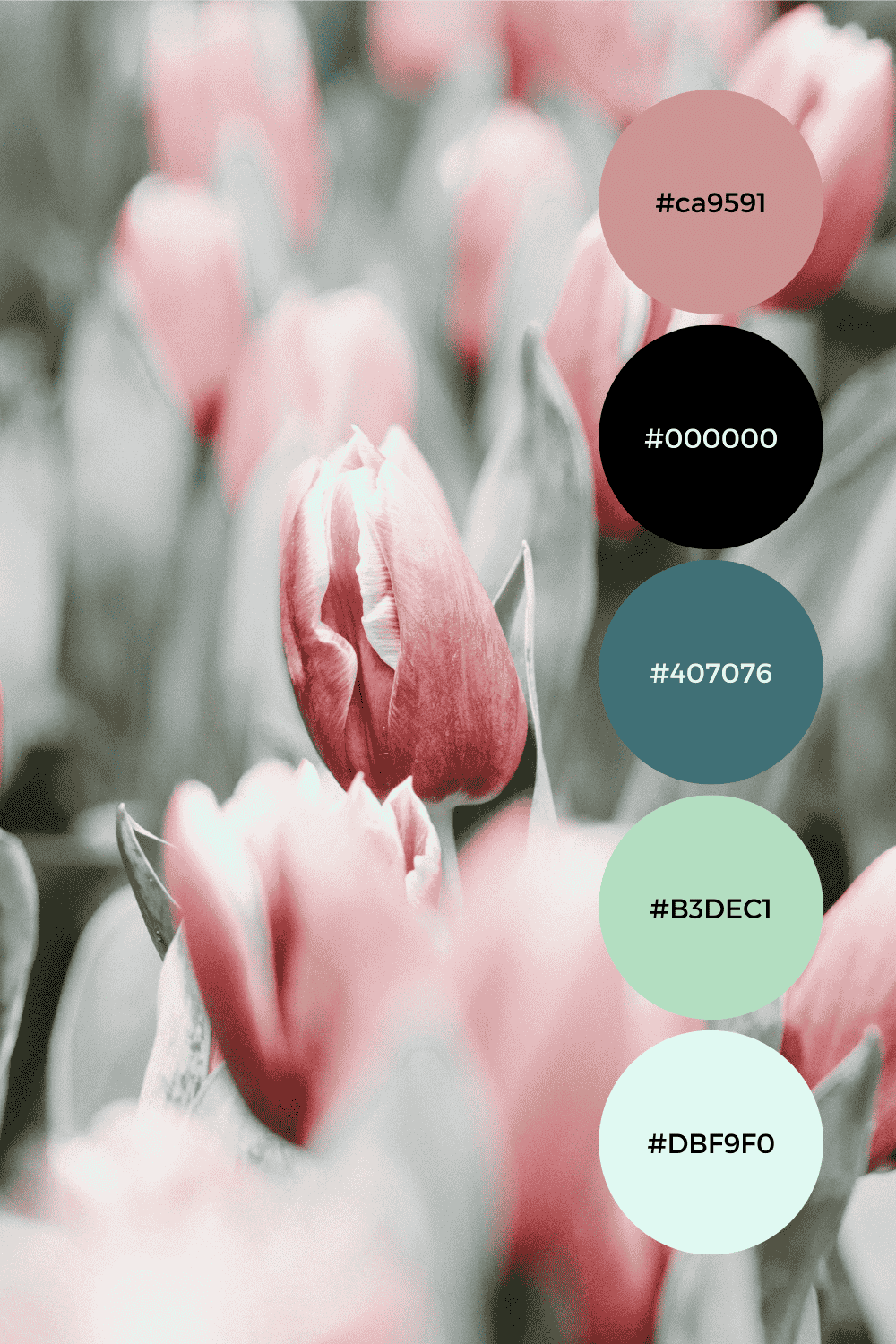 How To Match Colors Using A Color Tool • KBM D3signs