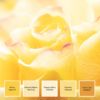 Different Shades of Yellow Color, Its Composition, and Symbolism • KBM ...