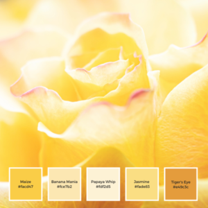 Different Shades of Yellow Color, Its Composition, and Symbolism • KBM ...