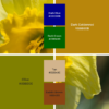 Different Shades of Yellow Color, Its Composition, and Symbolism • KBM ...