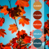 Red and Blue Color Palette: A Blend of Passion and Tranquility • KBM ...