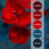 Red and Blue Color Palette: A Blend of Passion and Tranquility • KBM ...