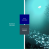 Diving into the Different Shades of Turquoise Color • KBM D3signs