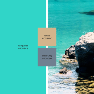 Diving into the Different Shades of Turquoise Color • KBM D3signs