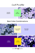 What is the Color Purple? • KBM D3signs