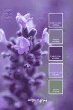 What is the Color Purple? • KBM D3signs